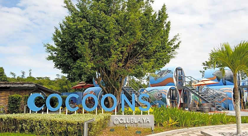 Cocoons Club Laiya