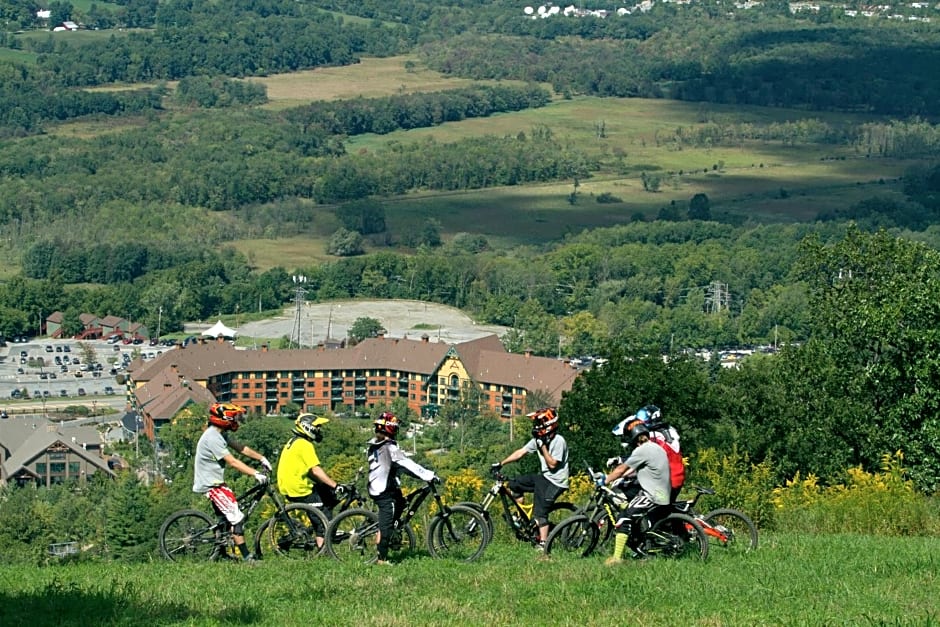 Mountain Creek Resort