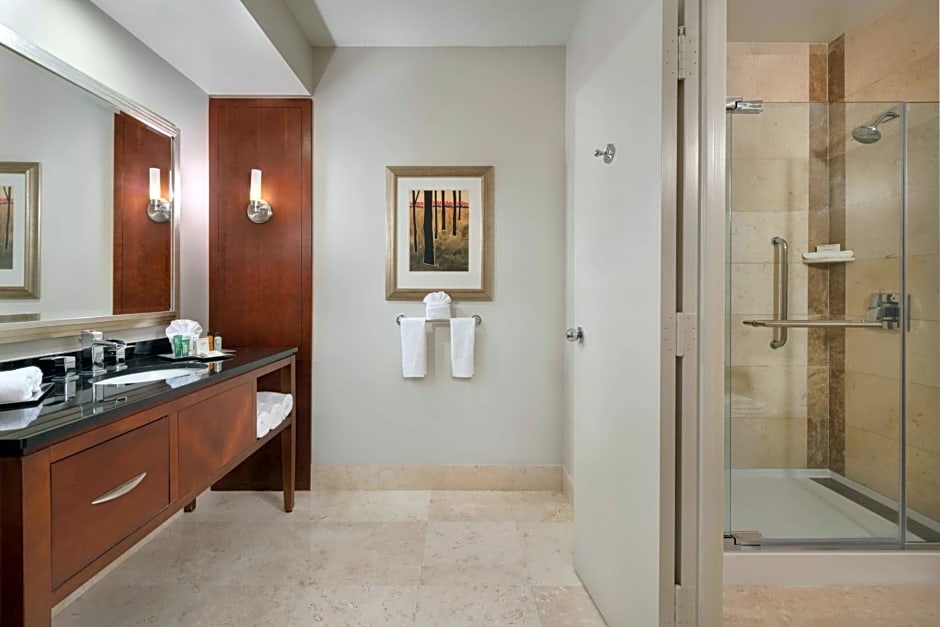 Hilton Houston Post Oak by the Galleria