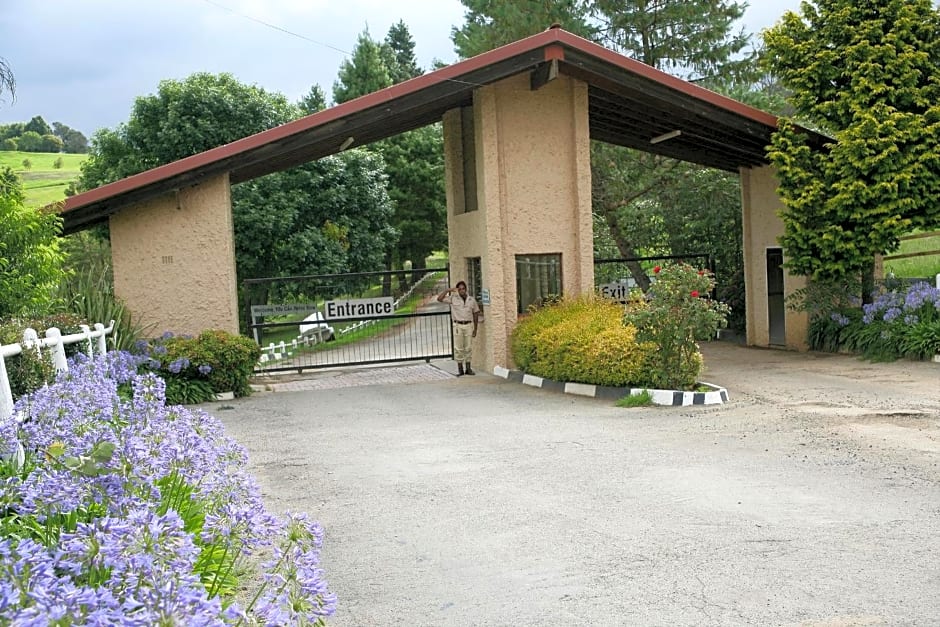 First Group Midlands Saddle and Trout