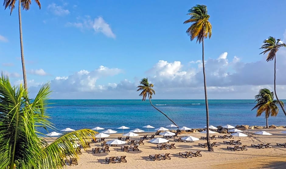 Hyatt Regency Grand Reserve Puerto Rico | Reservations Center