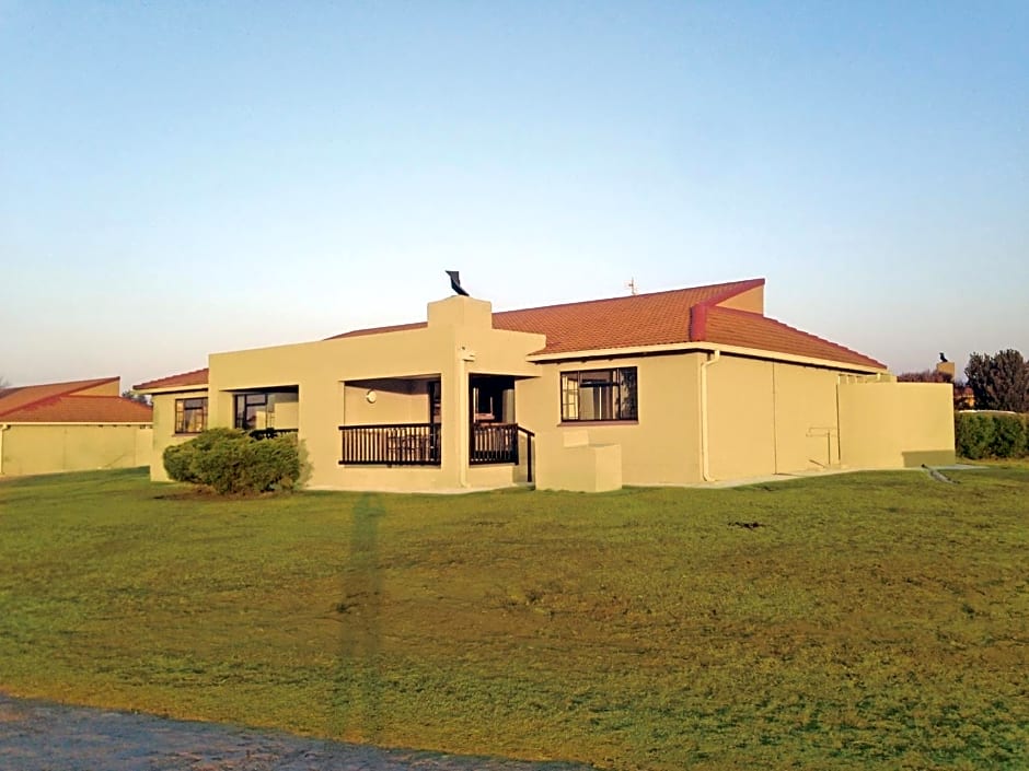 First Group Midlands Saddle and Trout