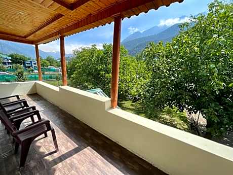 walnut tree pahalgam