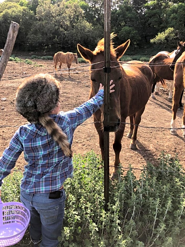 Flying L Ranch Resort