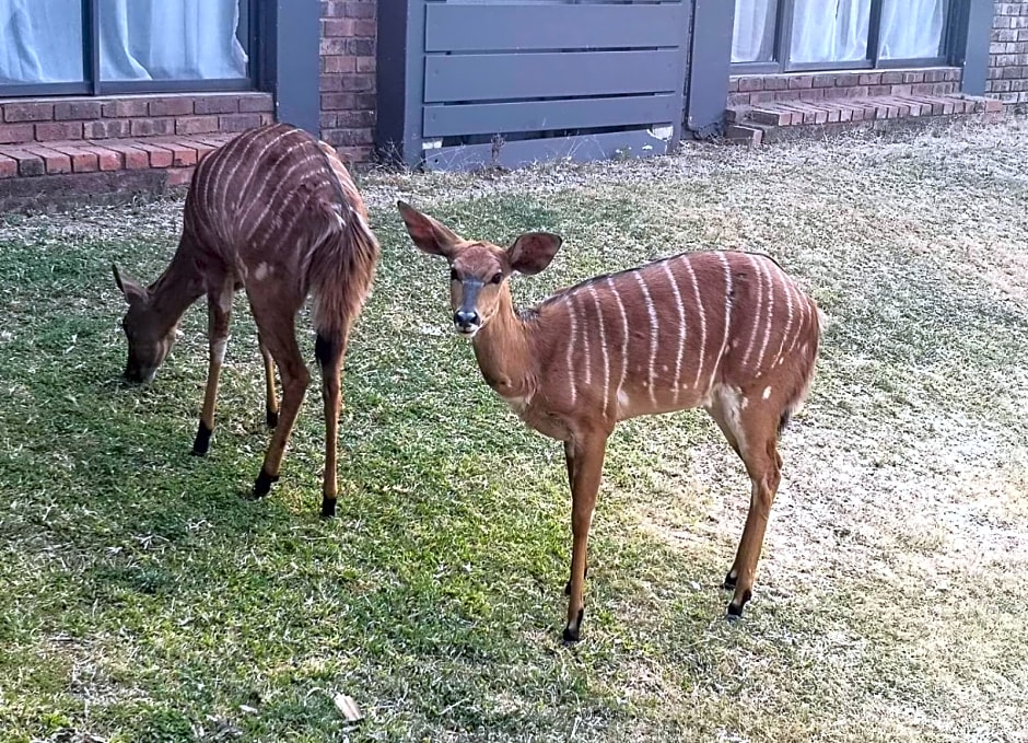 The Venue Country Hotel & Spa