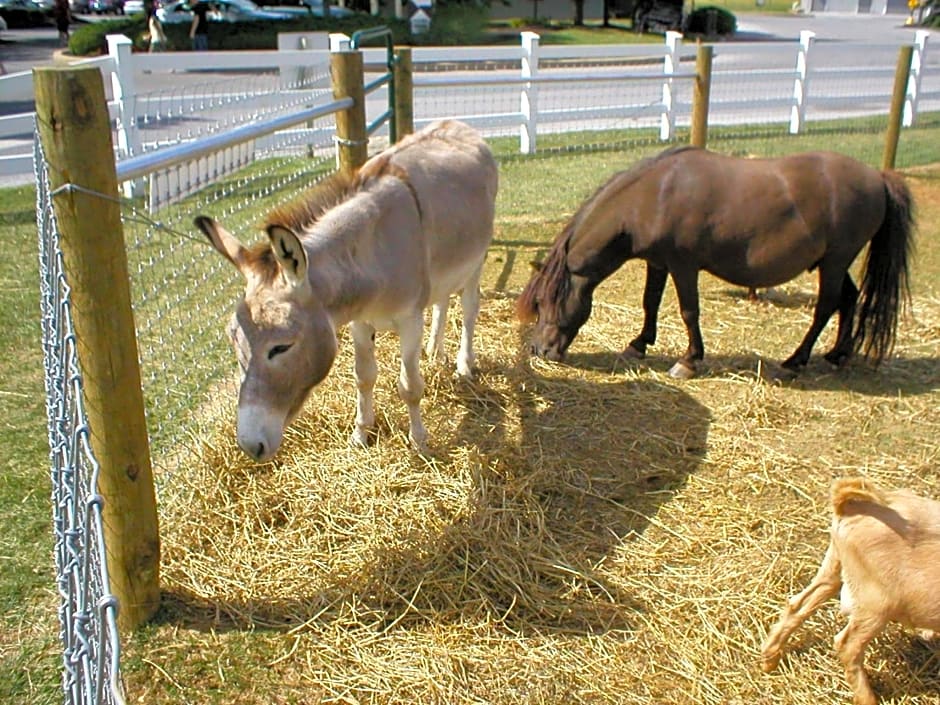 Amish View Inn & Suites
