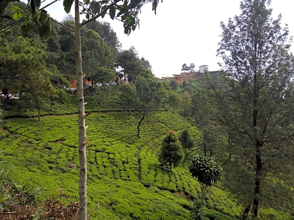 Villa Sophia Cimacan Puncak