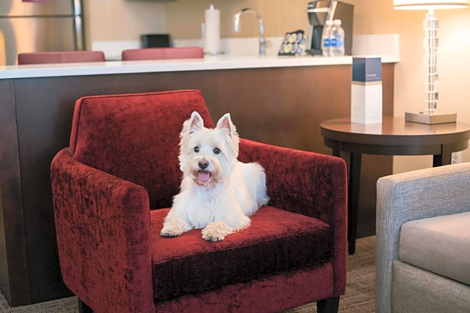 Residence Inn by Marriott Chicago Downtown/Loop