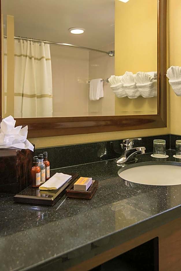 Baltimore Marriott Inner Harbor At Camden Yards