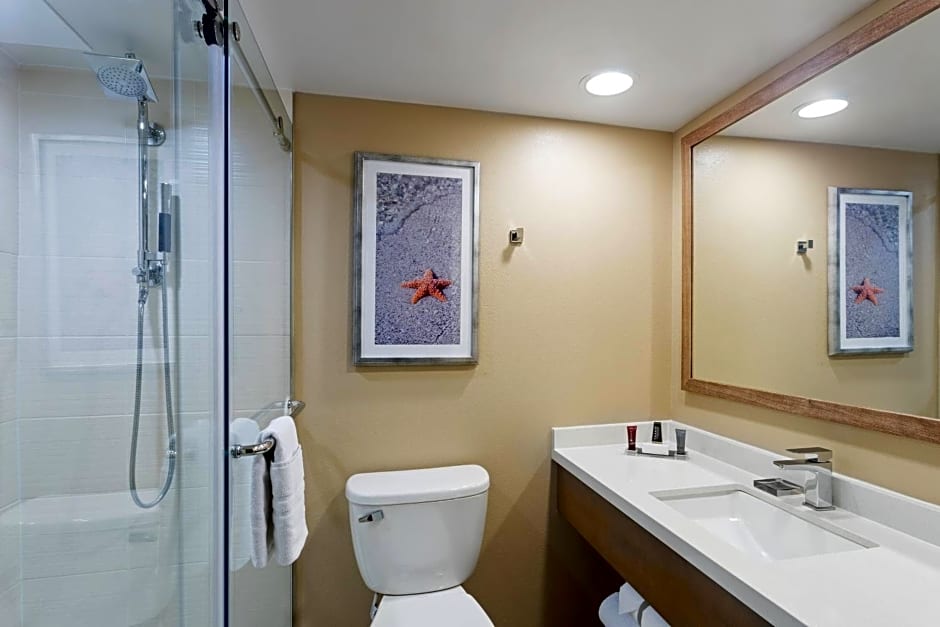 Clearwater Beach Marriott Resort on Sand Key