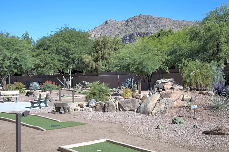 Scottsdale Camelback Resort
